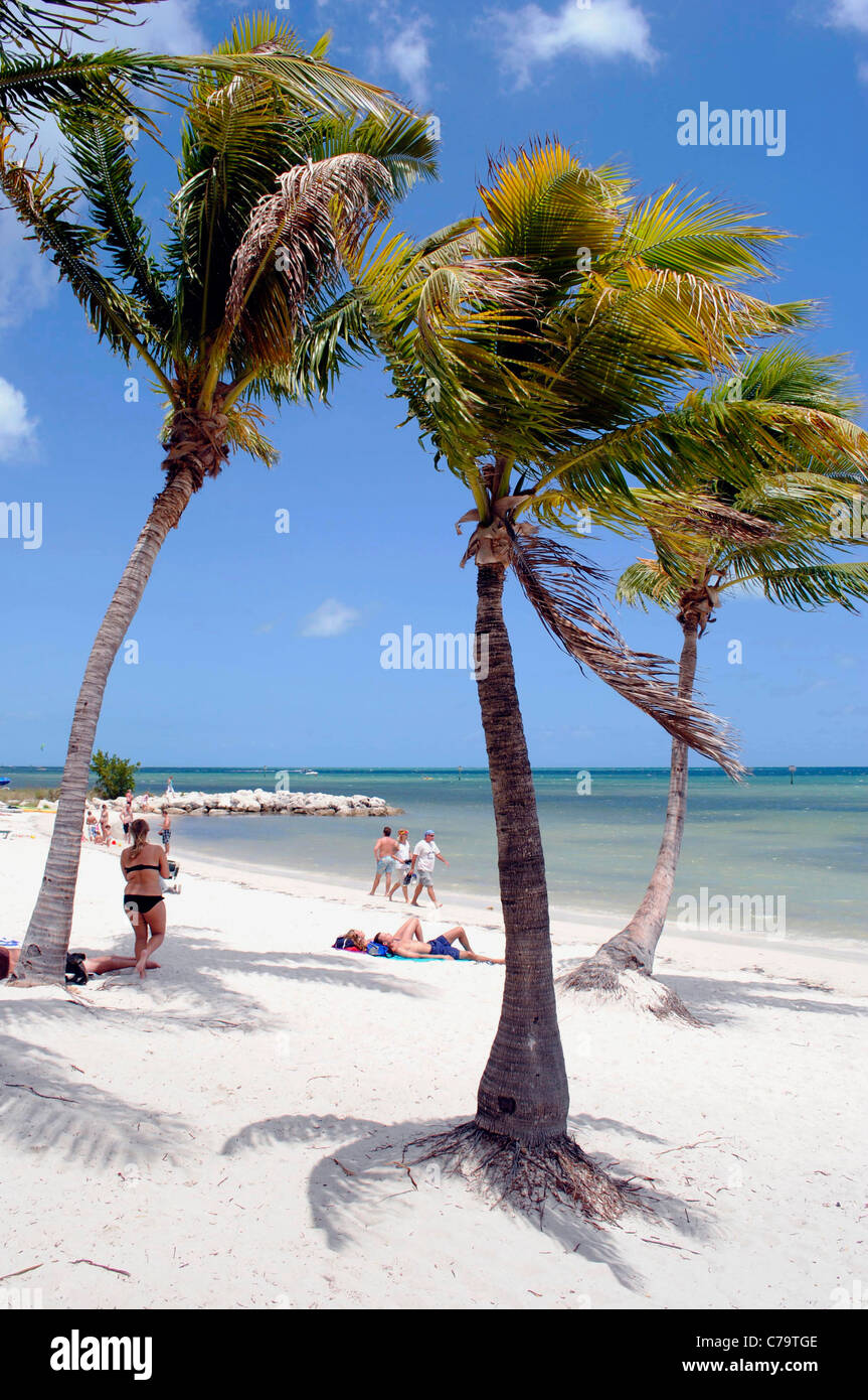 Smathers beach key west hi-res stock photography and images - Alamy
