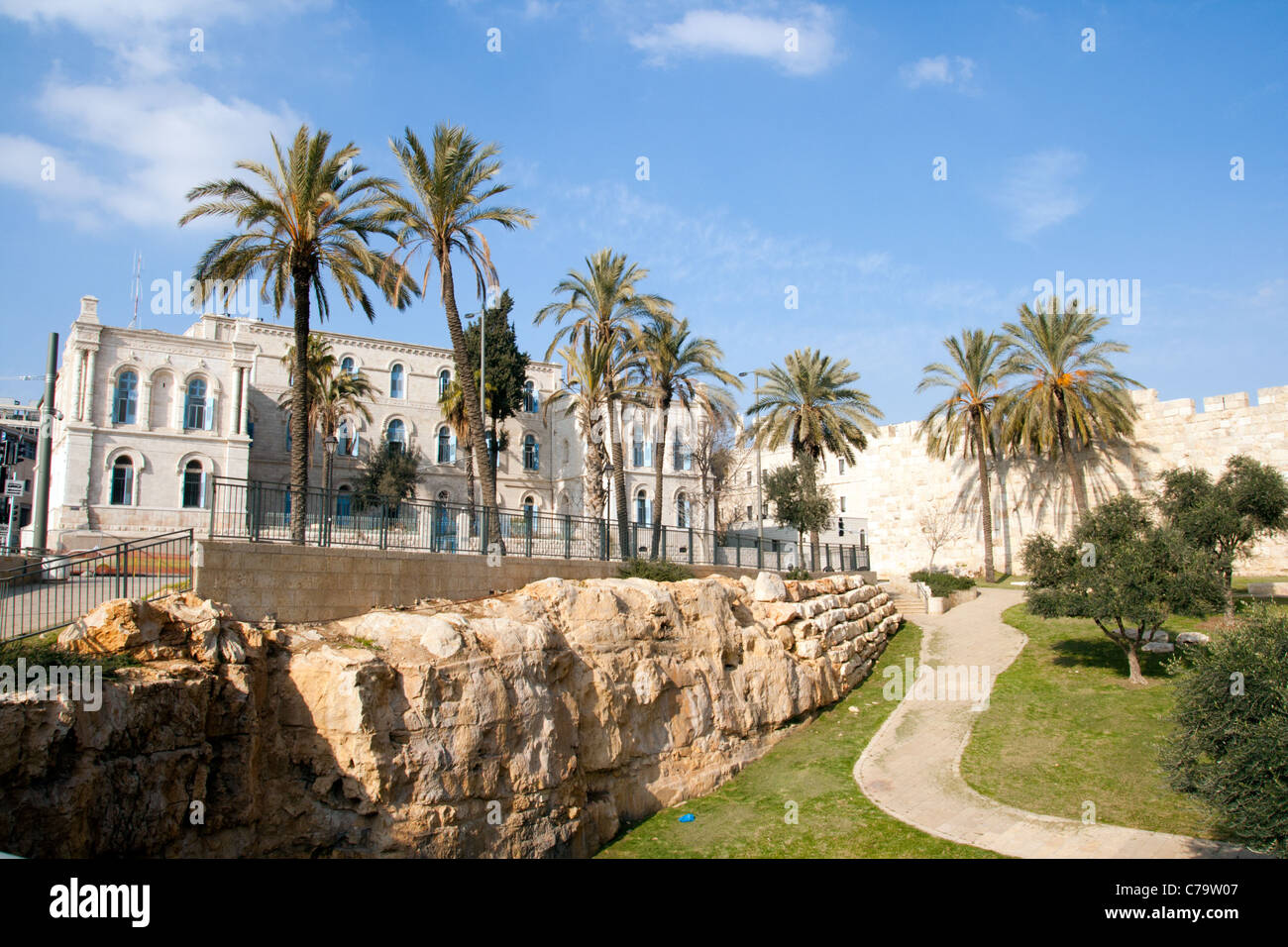 Tree building architecture hi-res stock photography and images - Alamy