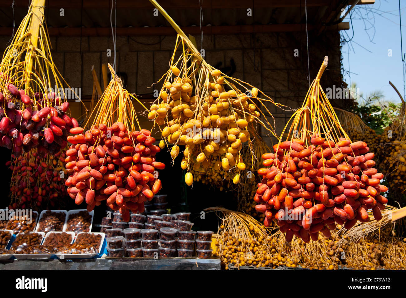 Fresh date fruits hang on stalks at a market in the West Bank ...