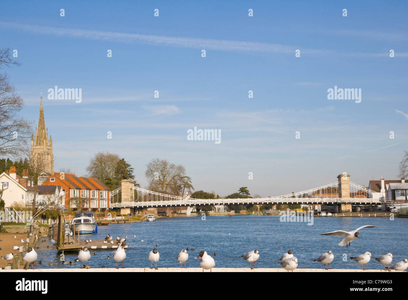 Marlow Suspension Bridge and All Saints Church by Thames river, Marlow ...