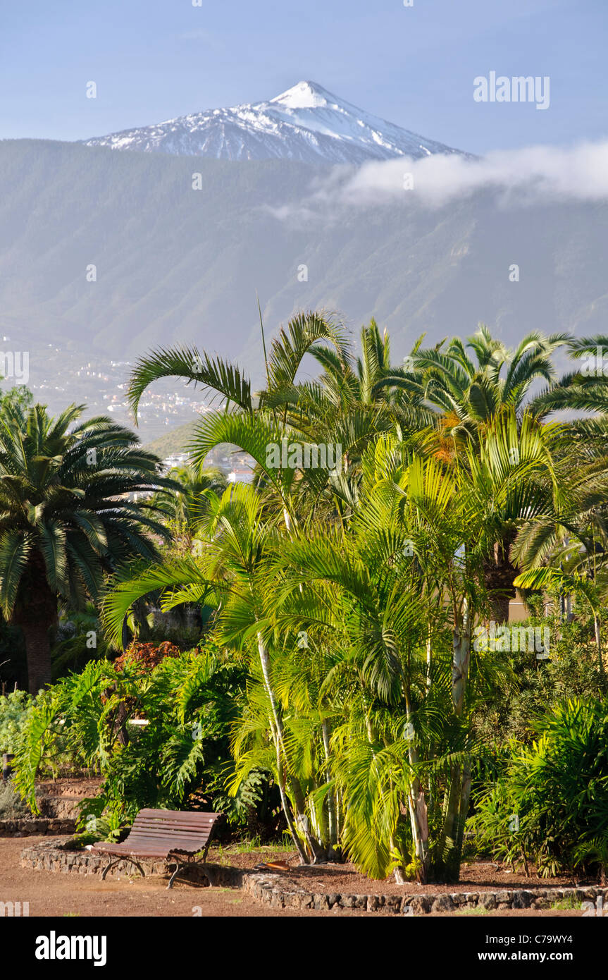 Taoro park hi-res stock photography and images - Alamy