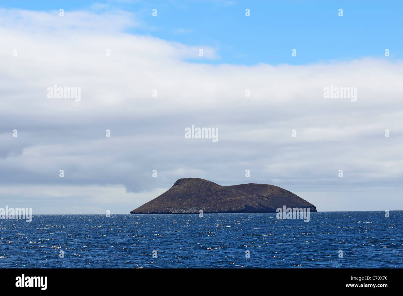 Daphne major island galapagos hi-res stock photography and images - Alamy