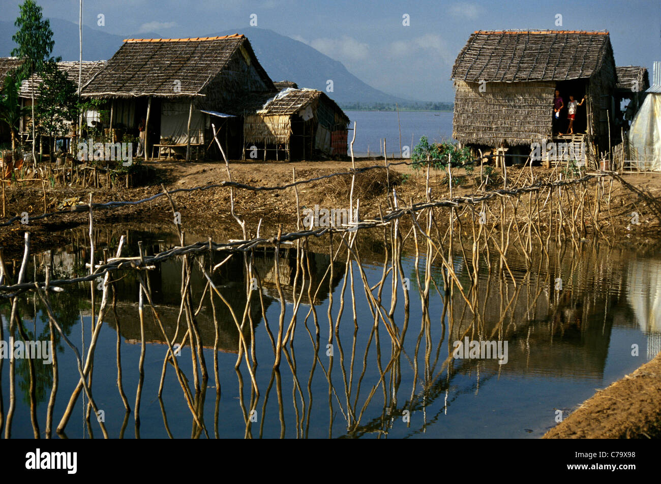 Village homes at An Giang in the Mekong Delta, Vietnam Stock Photo - Alamy