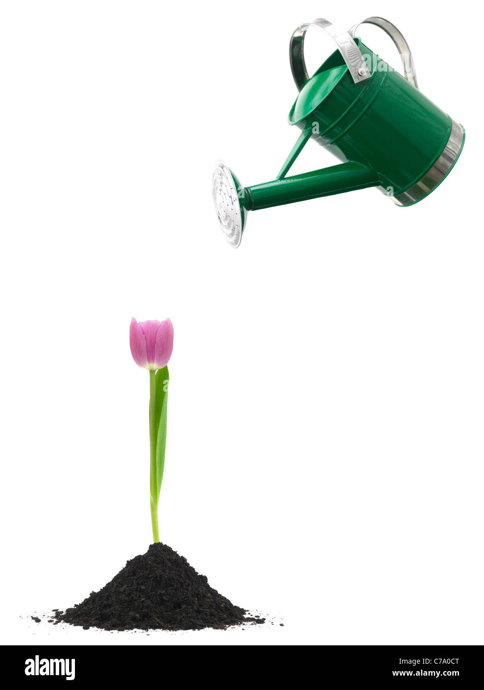 A watering can isolated against a white background Stock Photo - Alamy