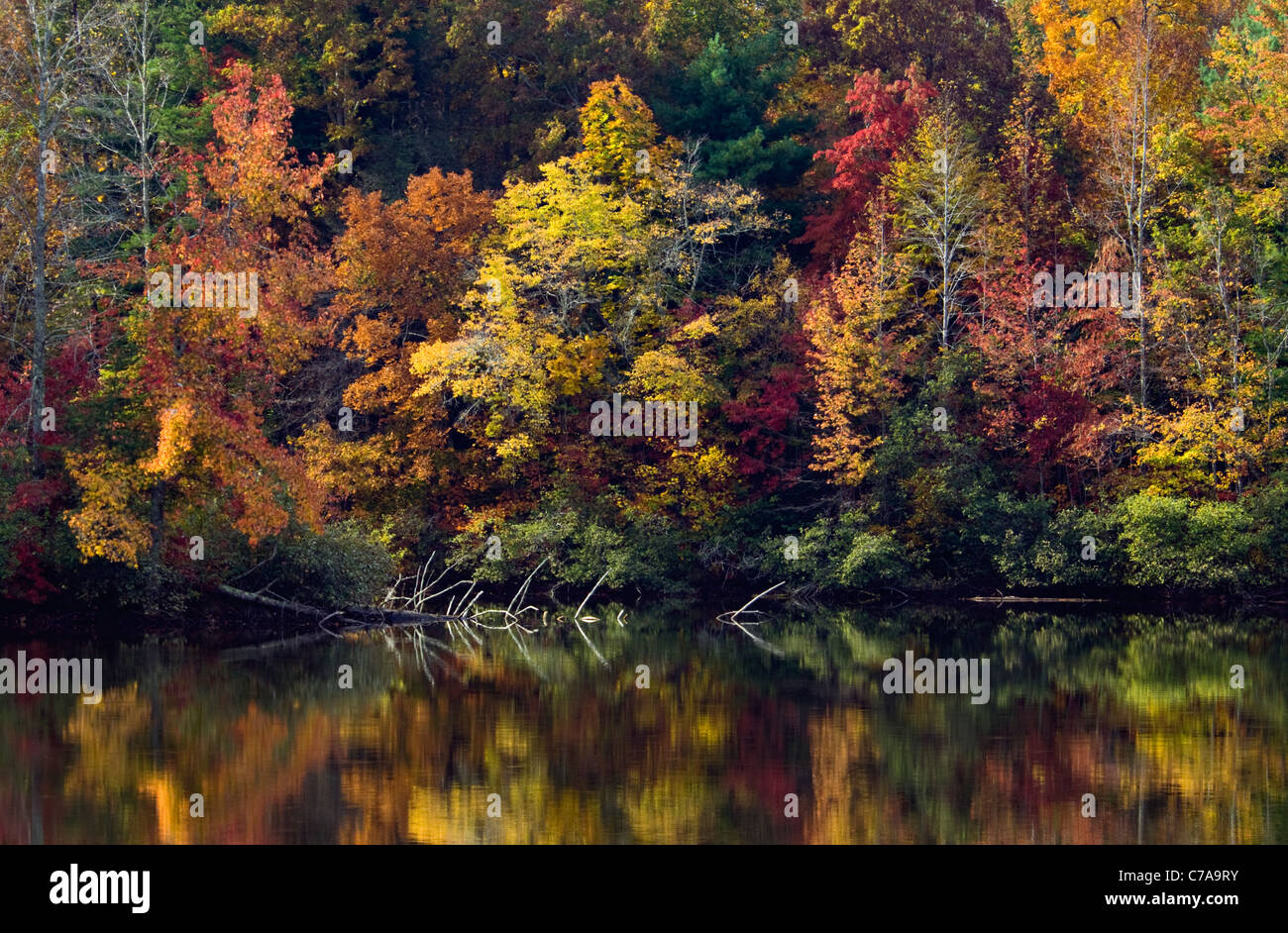 Autumn Color and Reflections on Indian Boundary Lake in the Cherokee ...