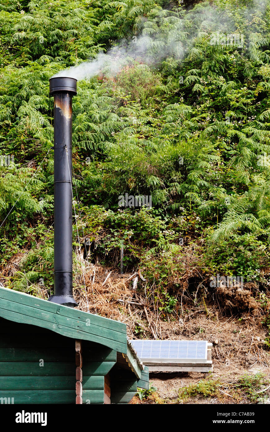 Domestic, small scale, renewable energy - solar panel and wood powering ...