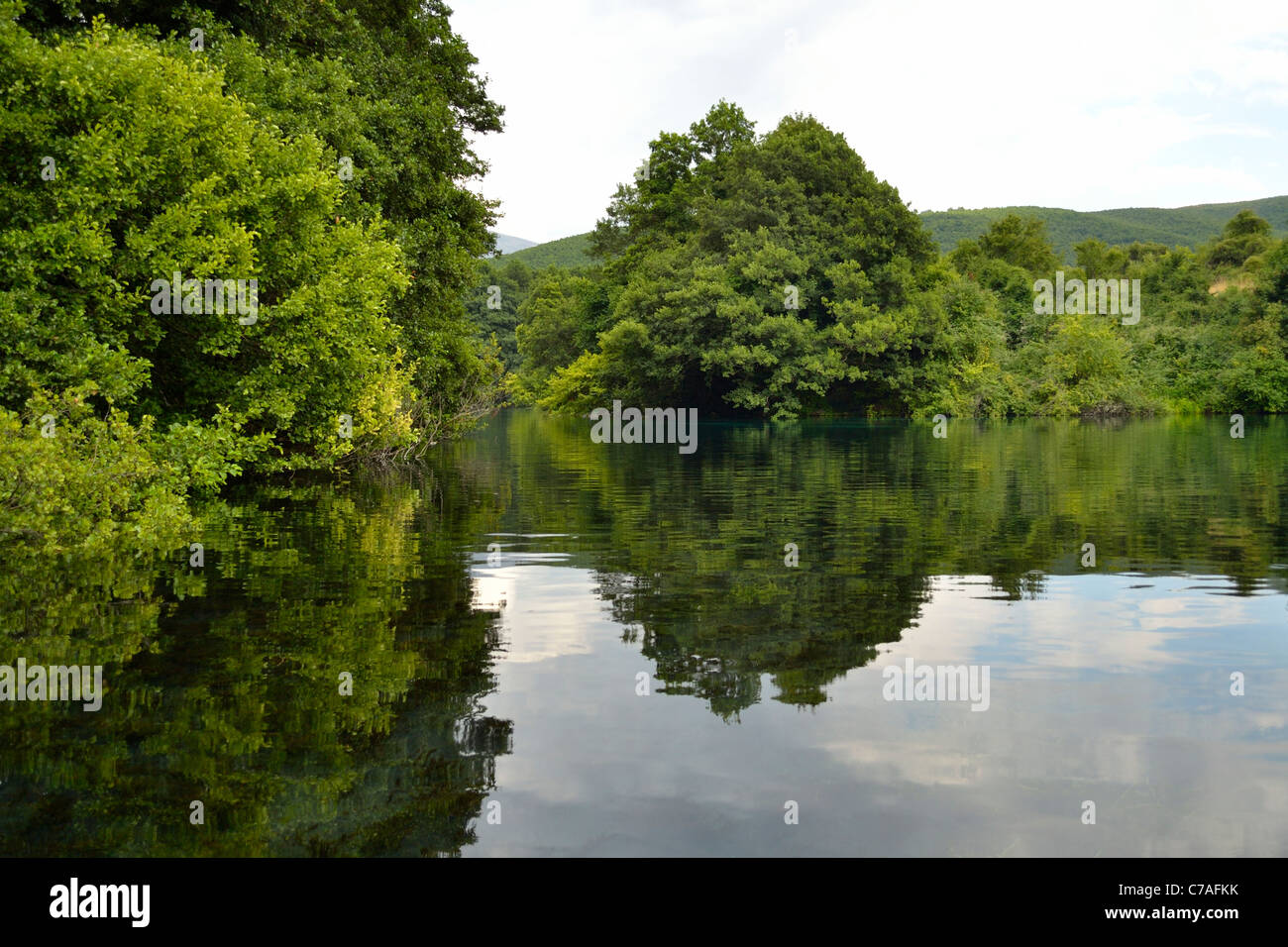Underwater river forest hi-res stock photography and images - Alamy
