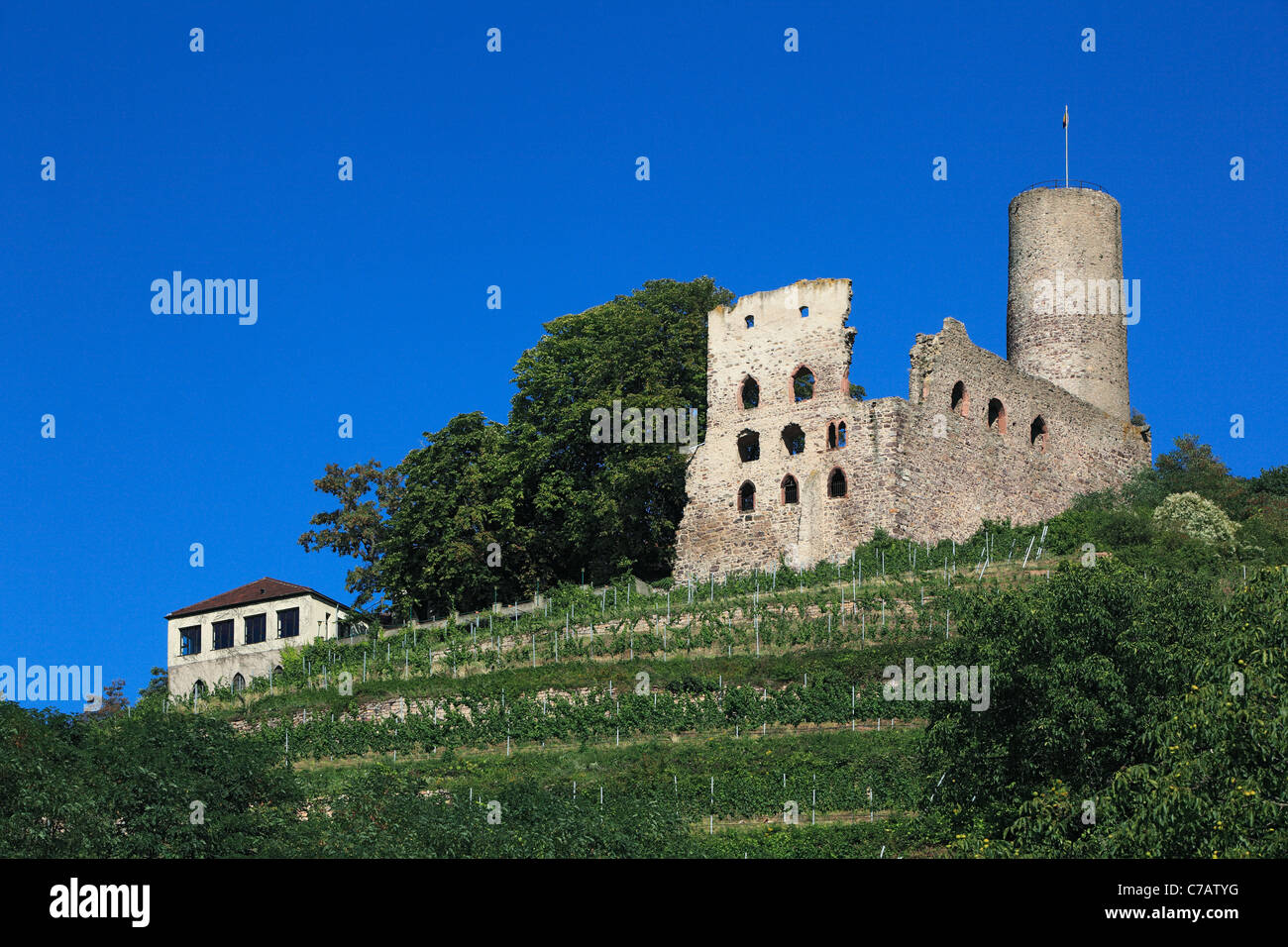 Burgruine Strahlenburg auf dem Oelberg in Schriesheim, Bergstrasse ...