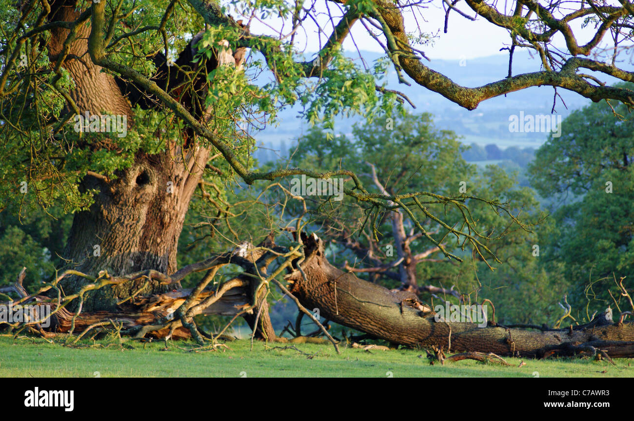 East nor castle hi-res stock photography and images - Alamy