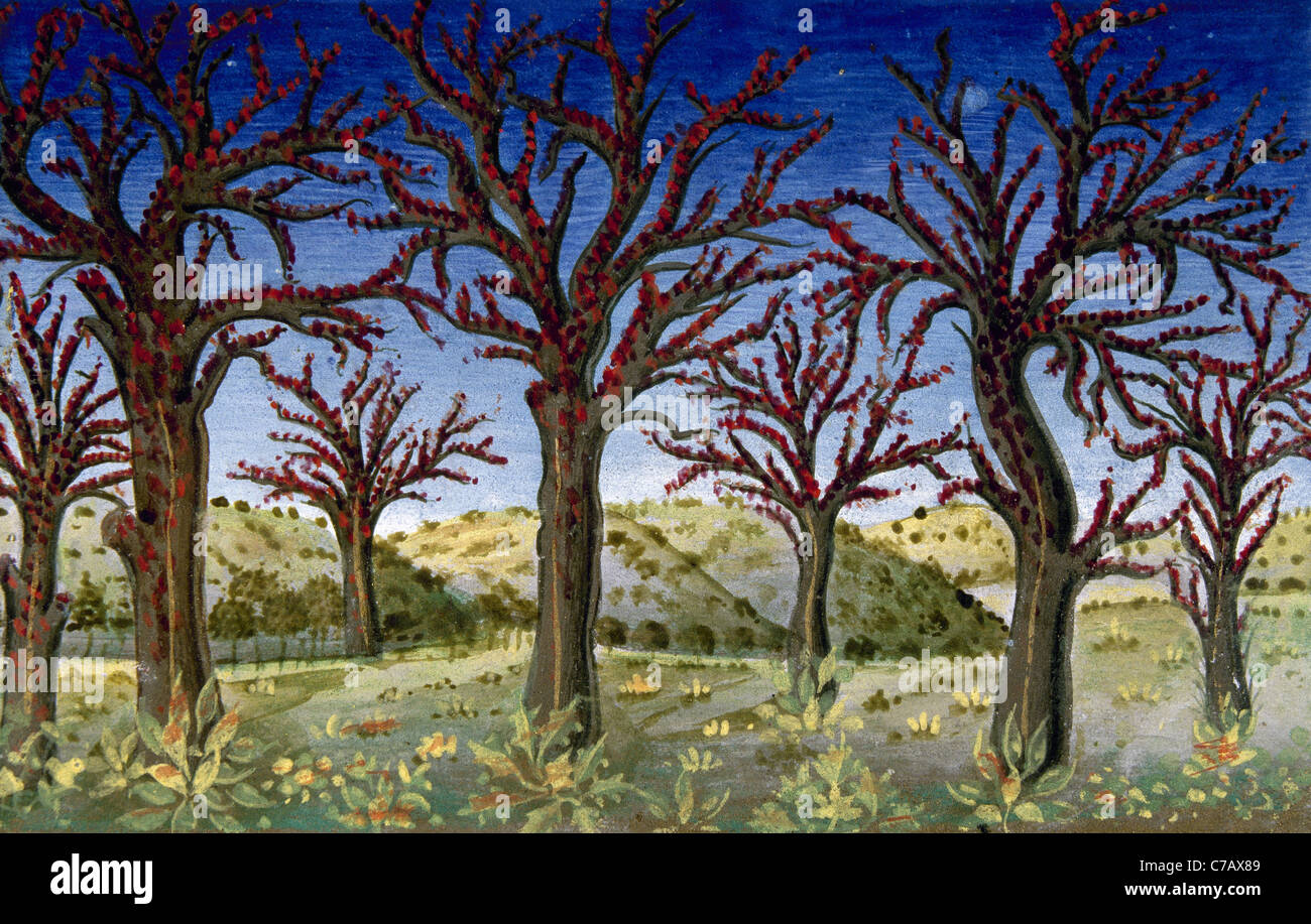 The end of the world and the Last Judgement. The trees will covered ...