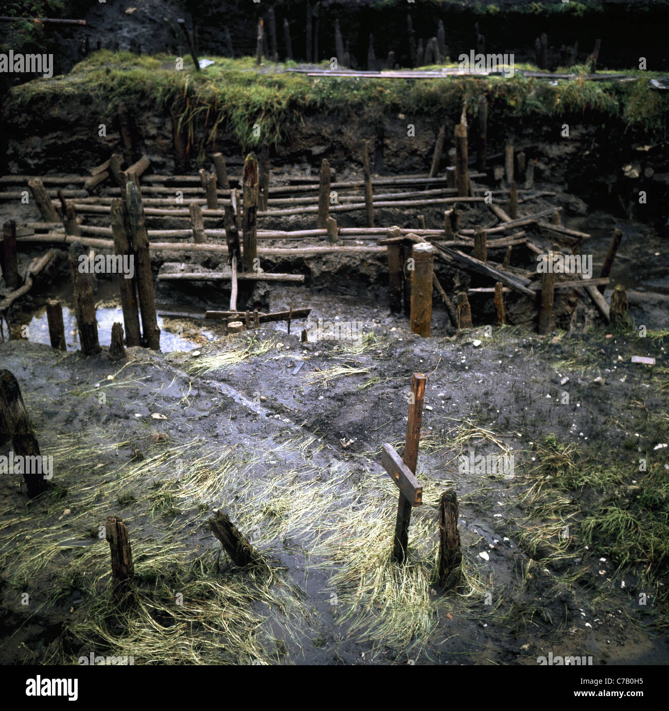 Neolithic art hi-res stock photography and images - Alamy