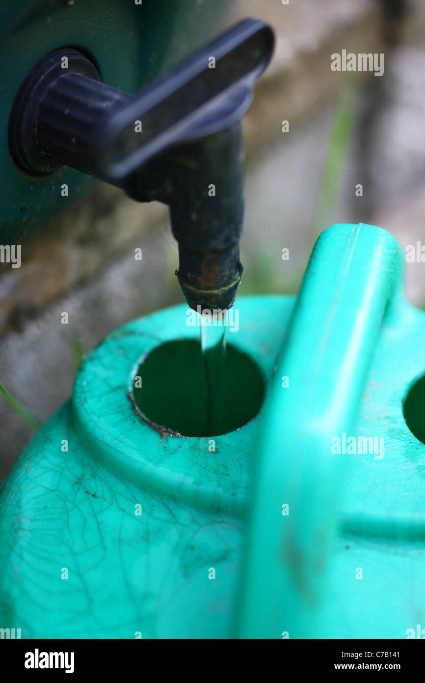 Water from a water butt filling a watering can Stock Photo - Alamy