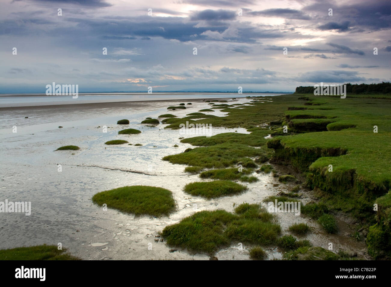 The Solway at Drumburgh Cumbria Stock Photo - Alamy