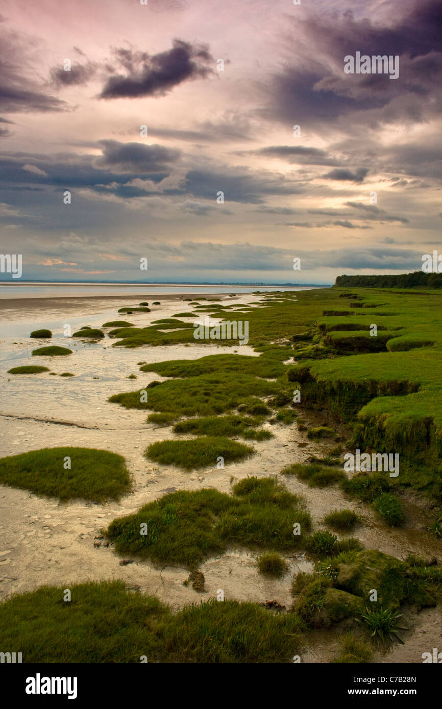Hadrians wall trail solway hi-res stock photography and images - Alamy