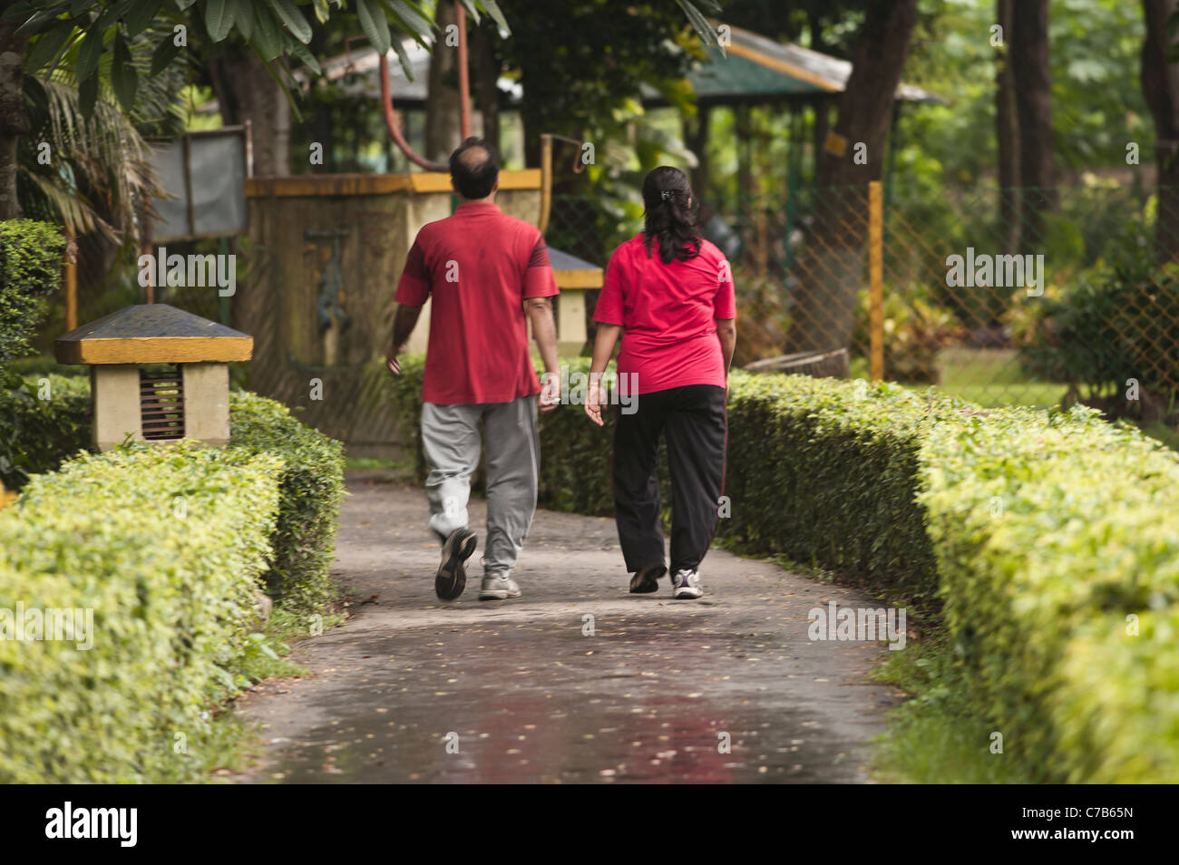 morning rain [Land] Stock Photo - Alamy