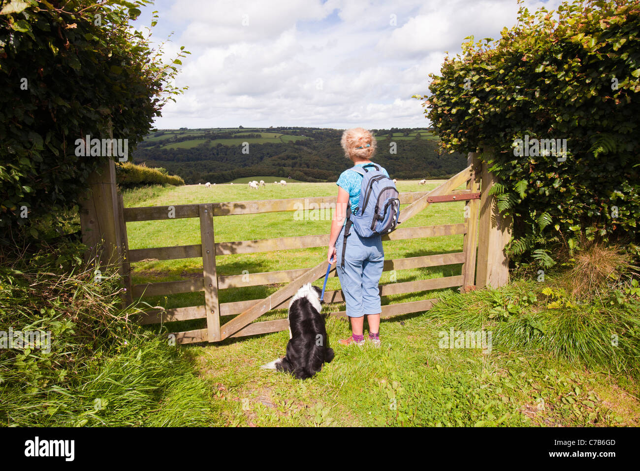 Devon and somerset border hi-res stock photography and images - Alamy