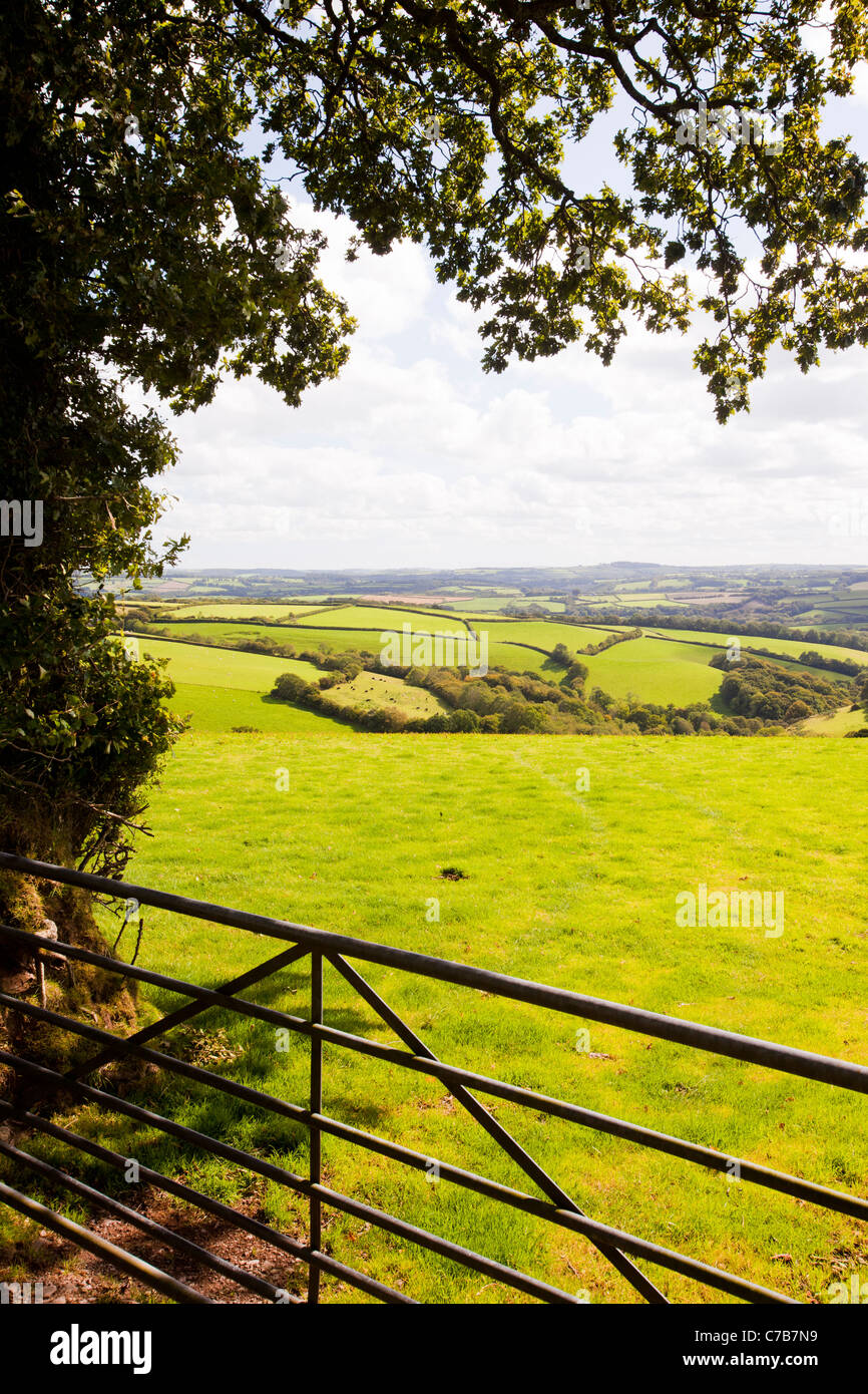 The Devon countryside near Dulverton, UK Stock Photo - Alamy