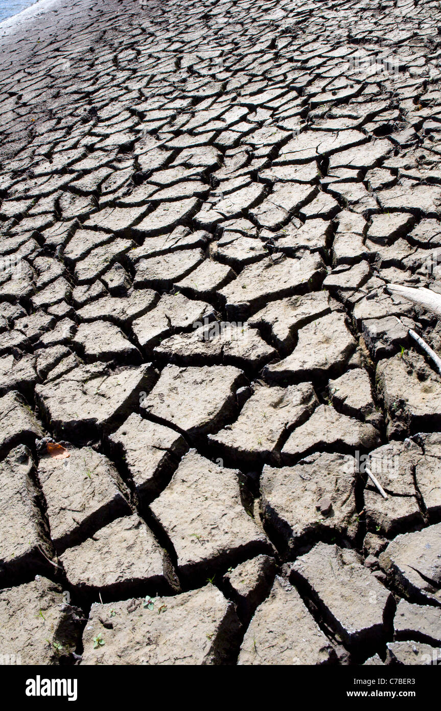 Cracked dried mud in river bed Stock Photo - Alamy