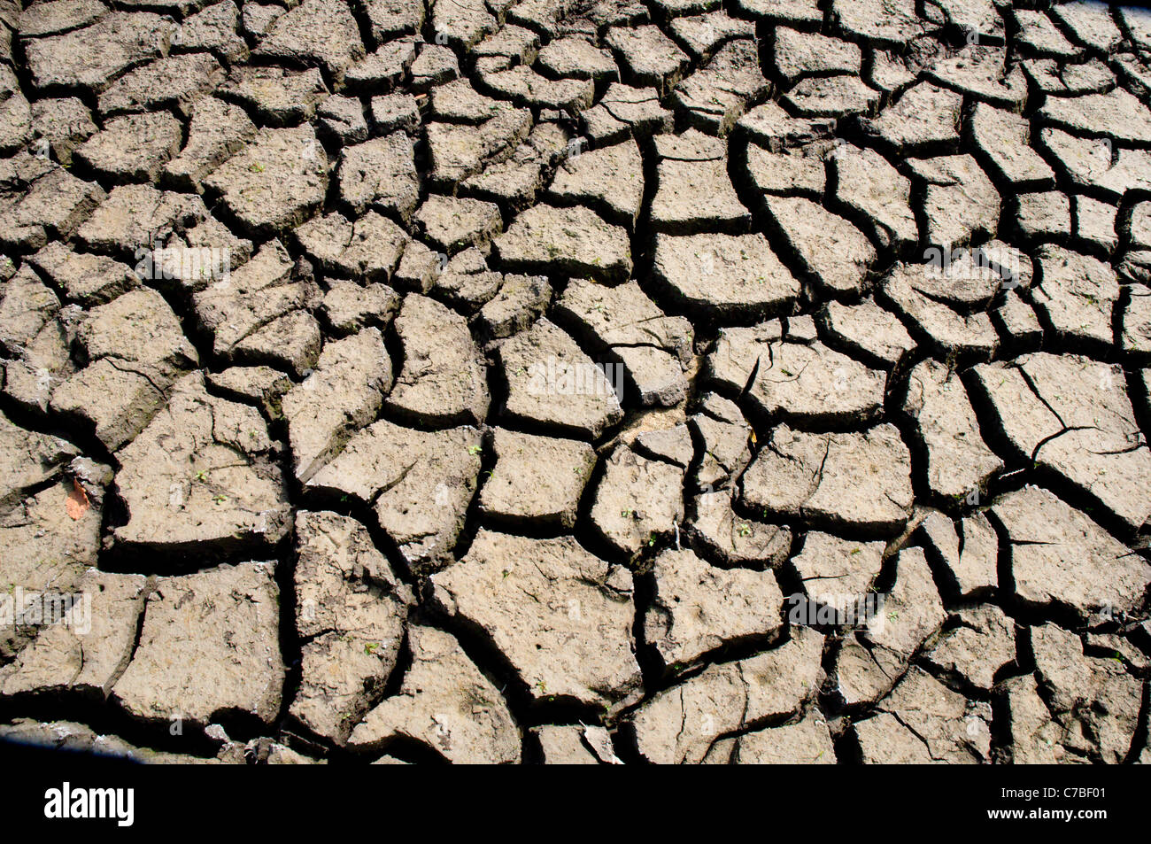 Cracked dried mud in river bed Stock Photo - Alamy