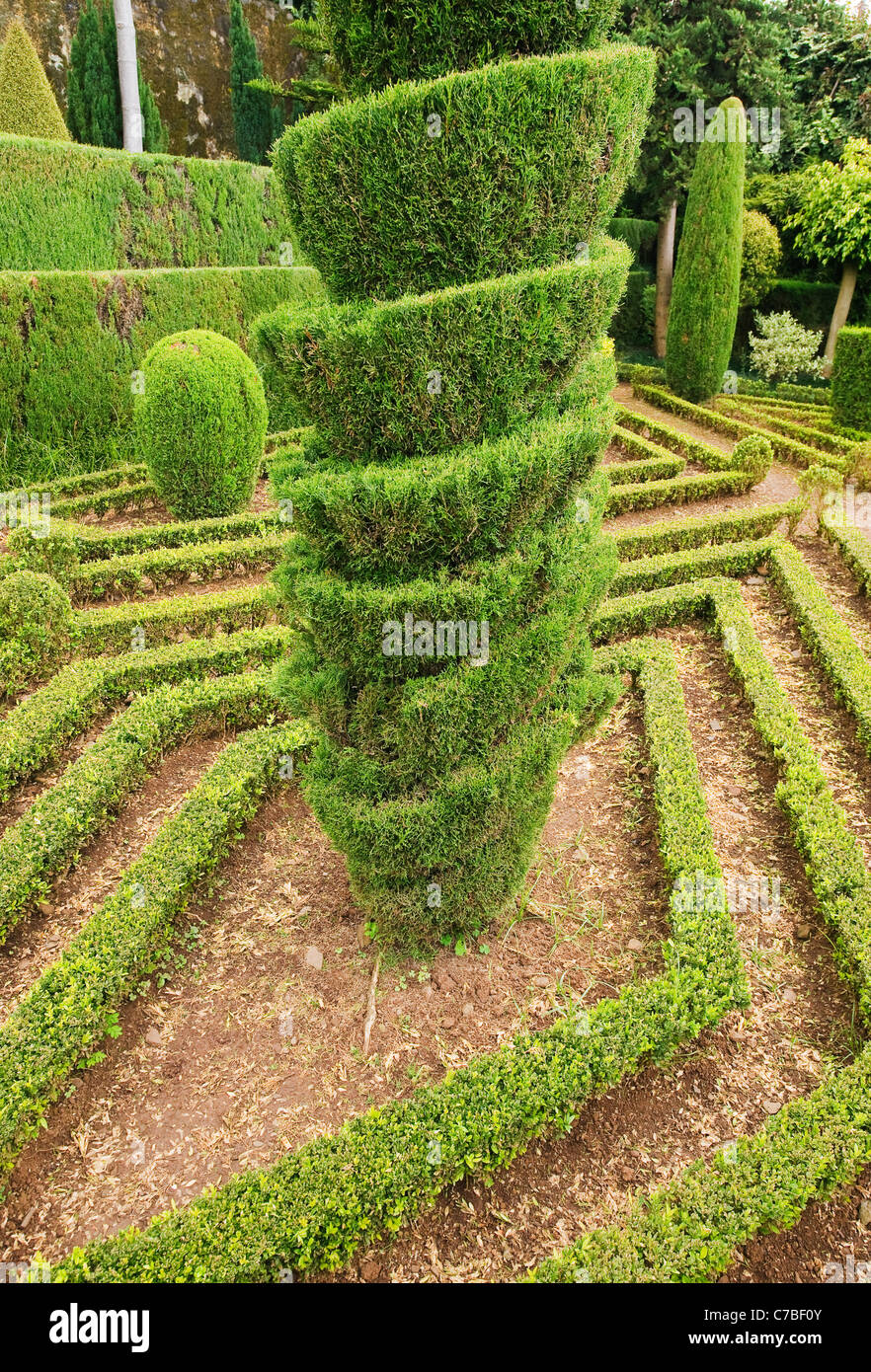 Topiary Hedges, Botanical Garden, Funchal, Madeira Stock Photo - Alamy