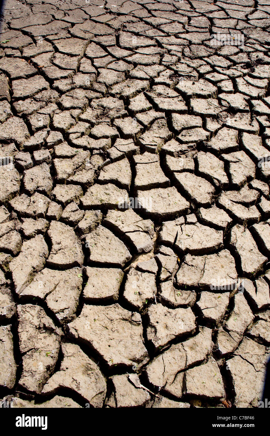 Cracked dried mud in river bed Stock Photo - Alamy