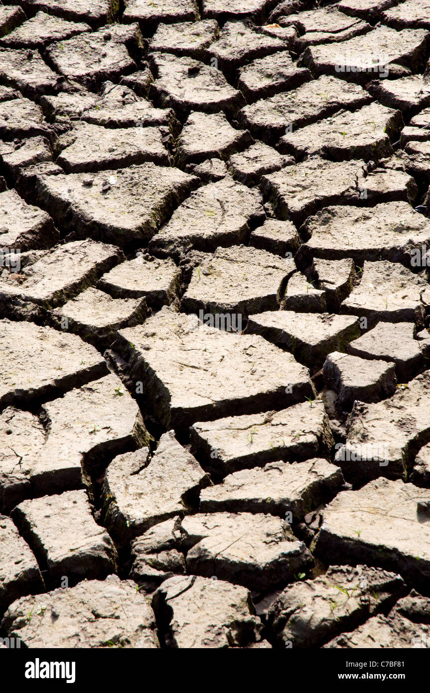 Cracked dried mud in river bed Stock Photo - Alamy