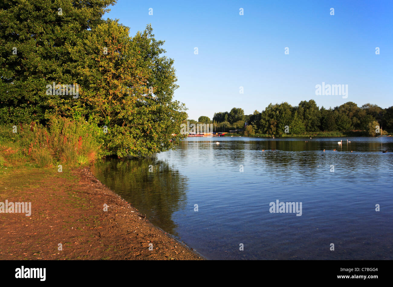 Whitlingham great broad hi-res stock photography and images - Alamy