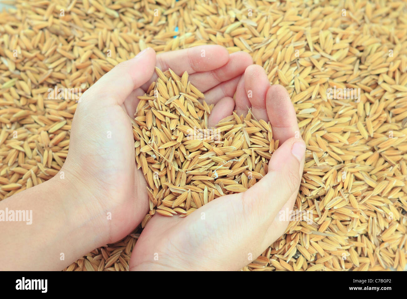 Hands holding rice with heart sign Stock Photo - Alamy