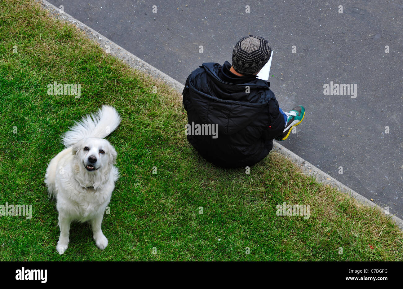 High angle view at man and dog at bank of river Seine, Paris, France ...