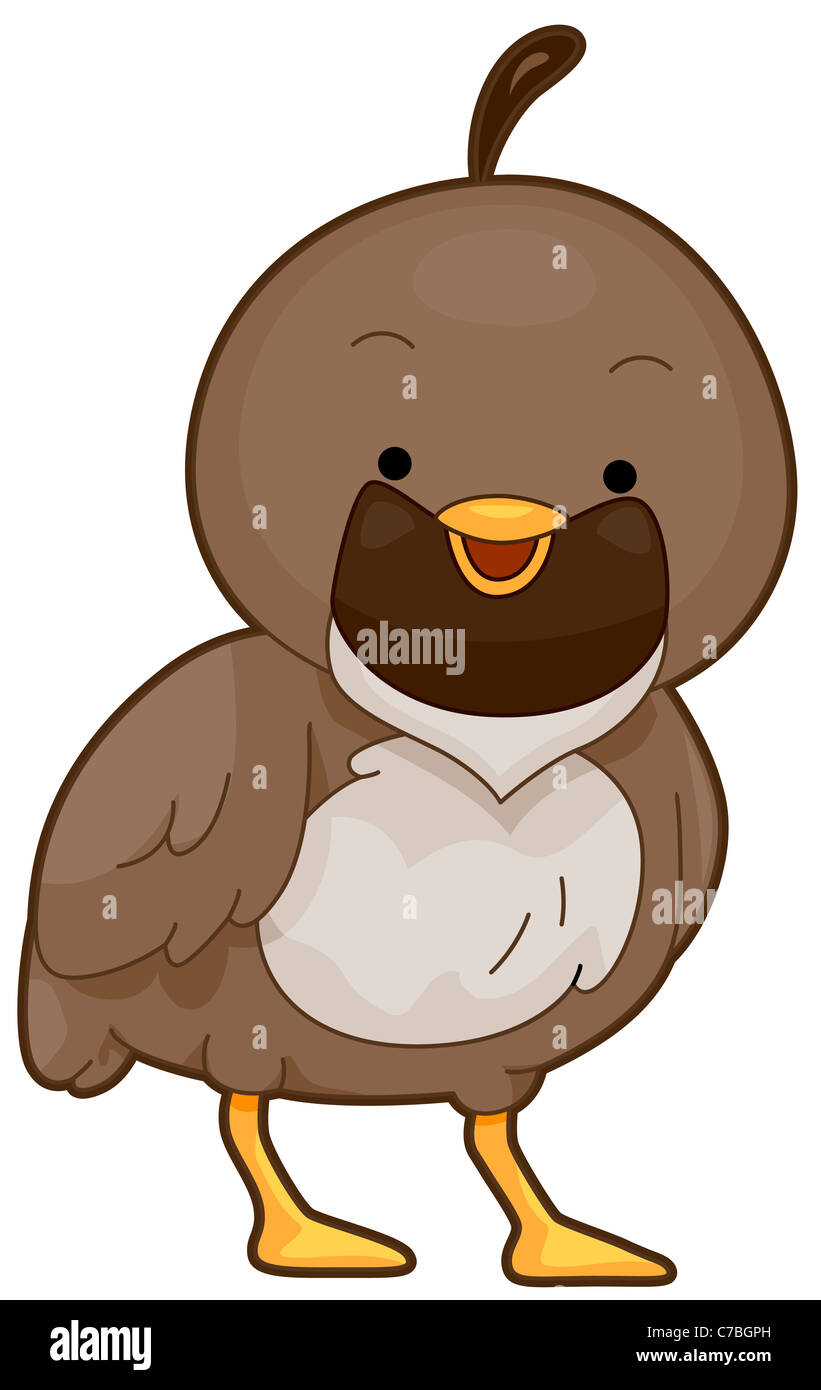 Illustration of a Quail Flashing a Smile Stock Photo - Alamy