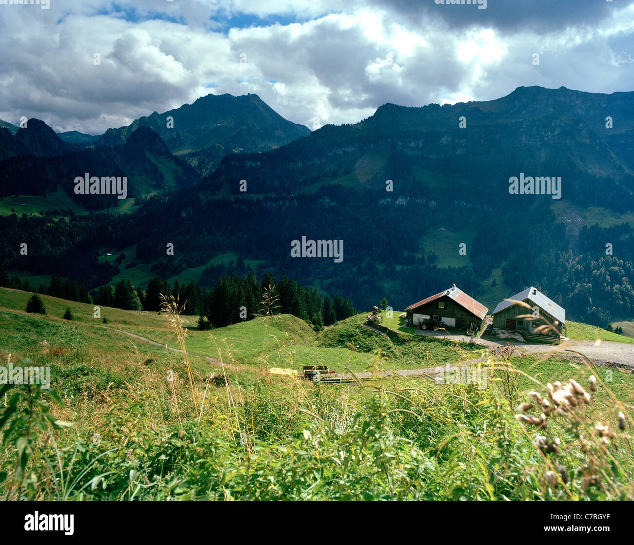 Alp cottages, alp near Bizau, Bregenzerwald forest, Vorarlberg, Austria ...