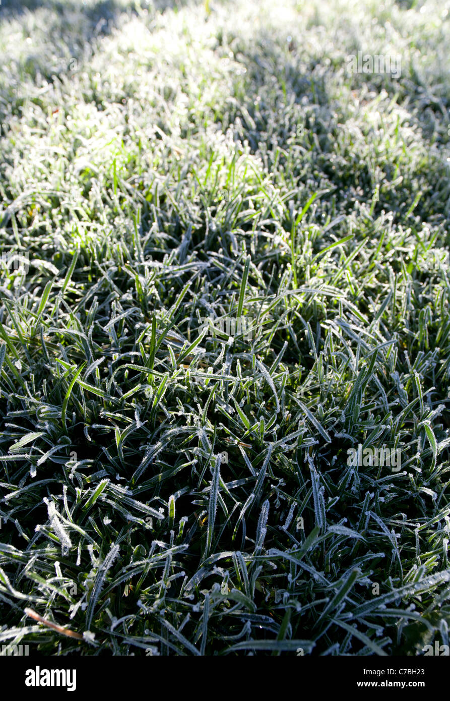Frosted Ground Surface High Resolution Stock Photography and Images - Alamy