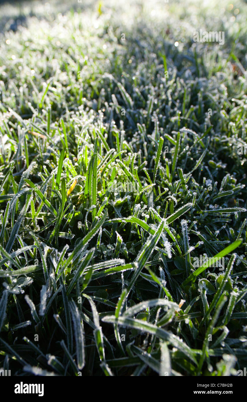 Frosty ground details hi-res stock photography and images - Alamy