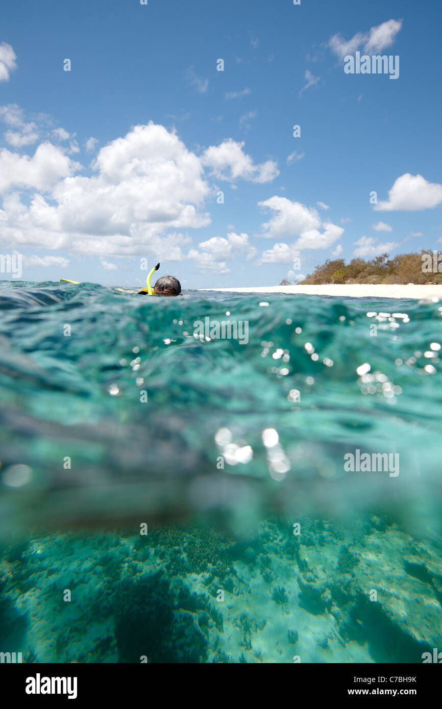 Diver in front of Wilson Island part of the Capricornia Cays National ...