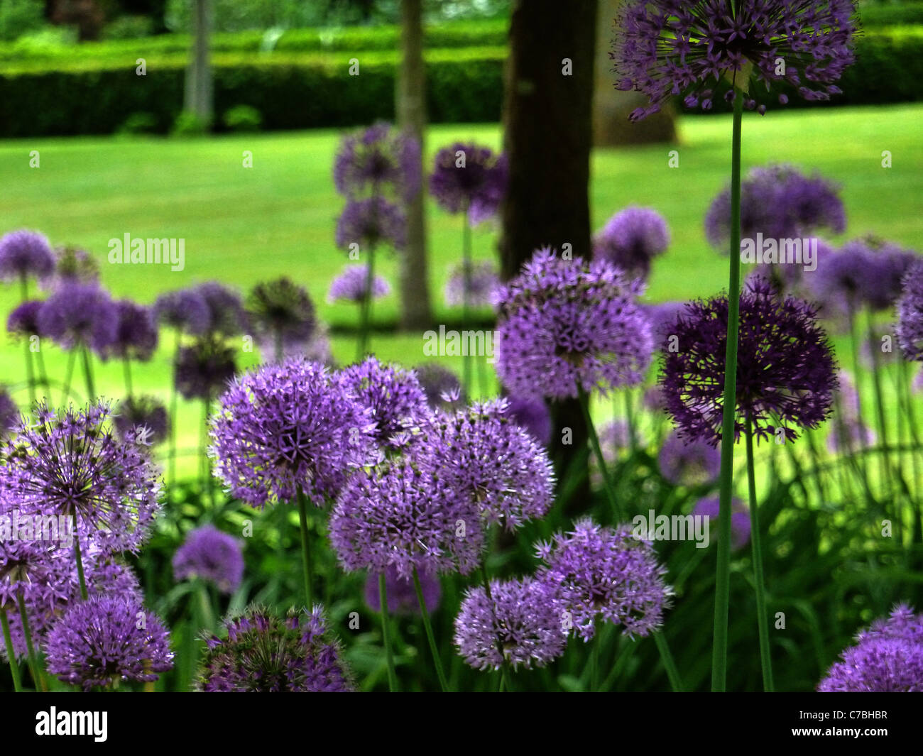 Cobalt blue cottage hi-res stock photography and images - Alamy