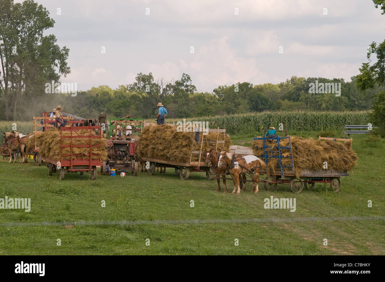 Amish hay wagons, USA Stock Photo - Alamy
