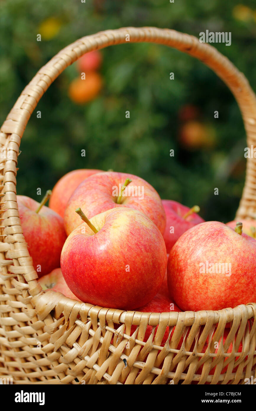 Spanish apples hi-res stock photography and images - Alamy