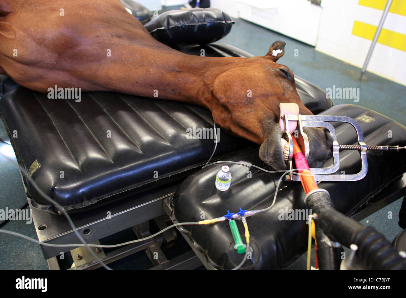 Intubated hi-res stock photography and images - Alamy