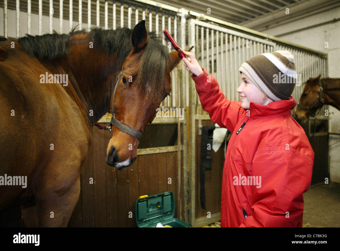 Girl cleaning her pony Stock Photo - Alamy