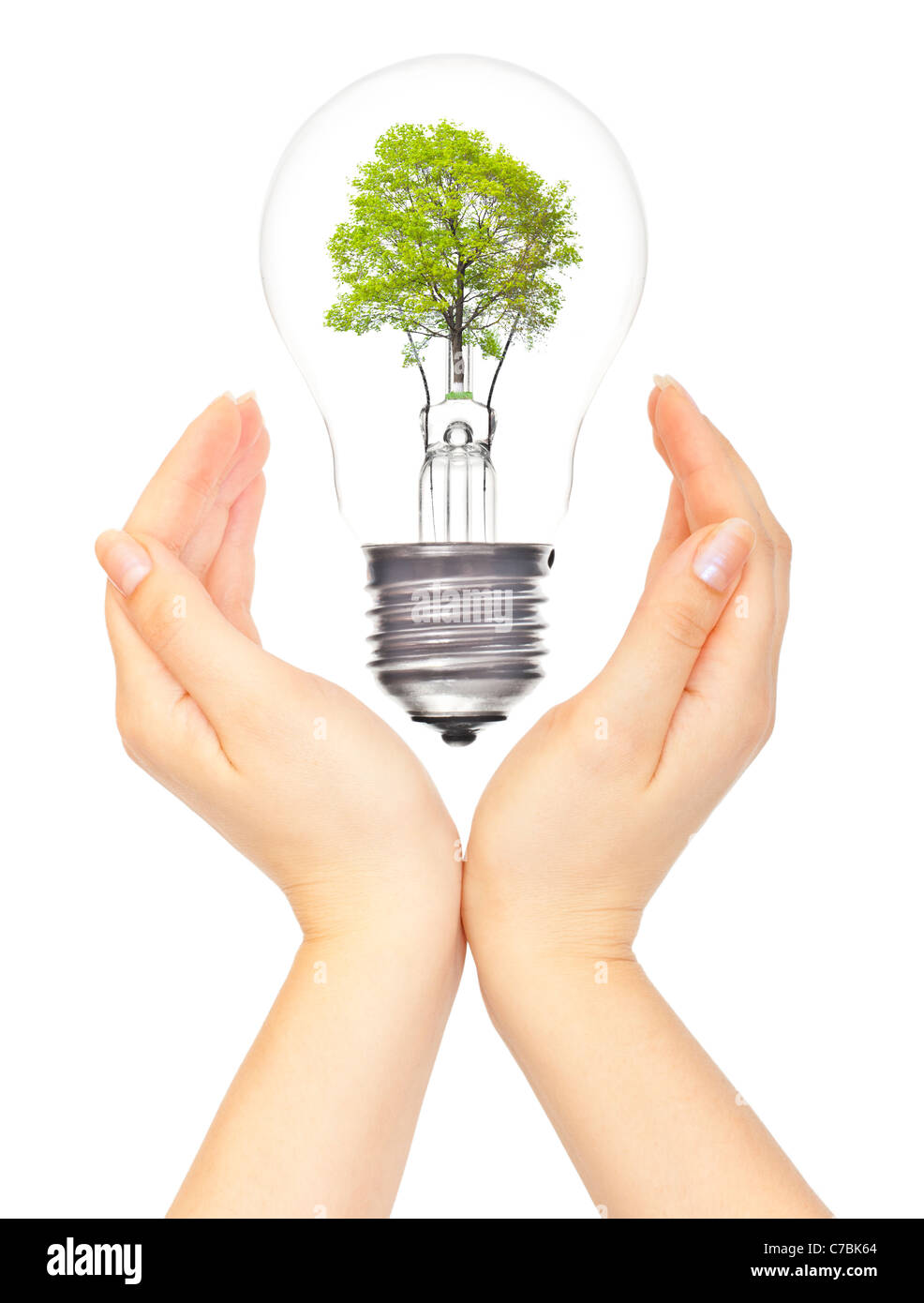 Hands and eco light bulb on white Stock Photo - Alamy