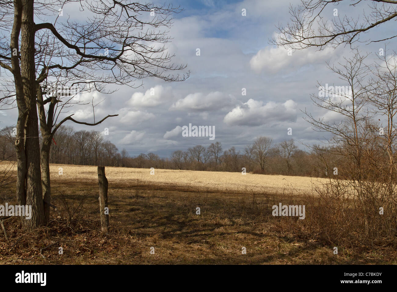 Tyler field desolate fence farm hi-res stock photography and images - Alamy
