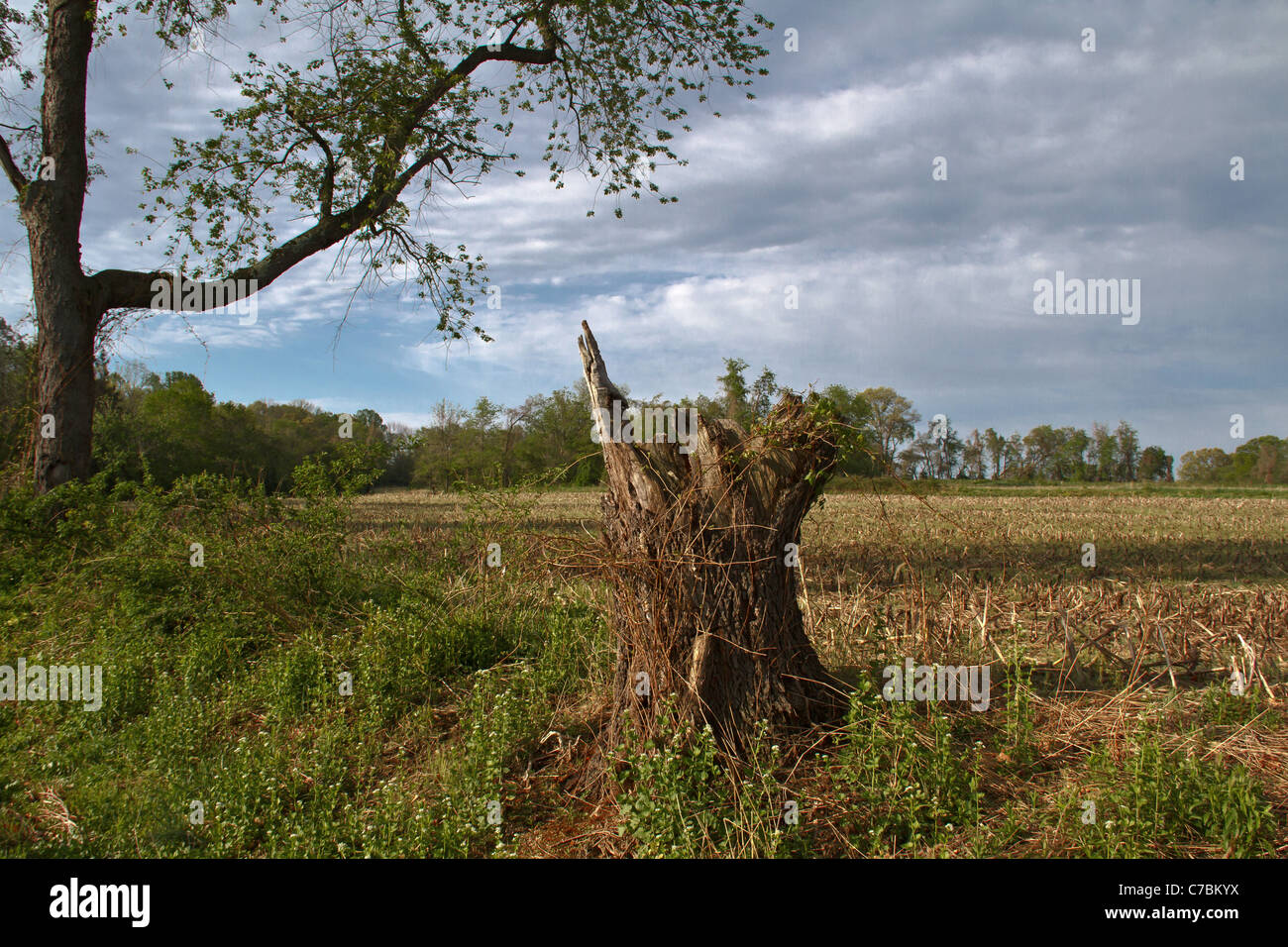 Tyler state park hi-res stock photography and images - Alamy