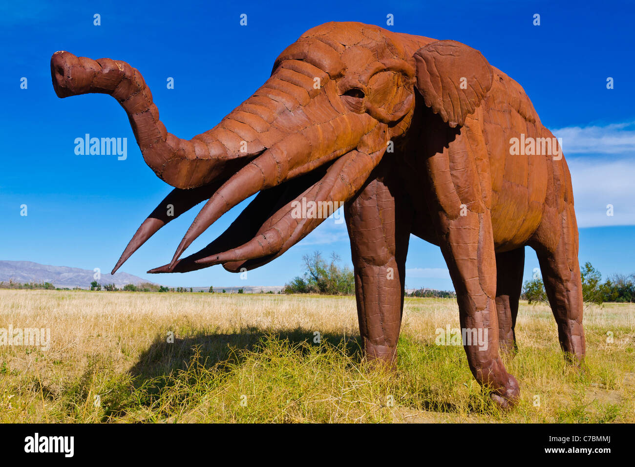 Gomphotherium hi-res stock photography and images - Alamy