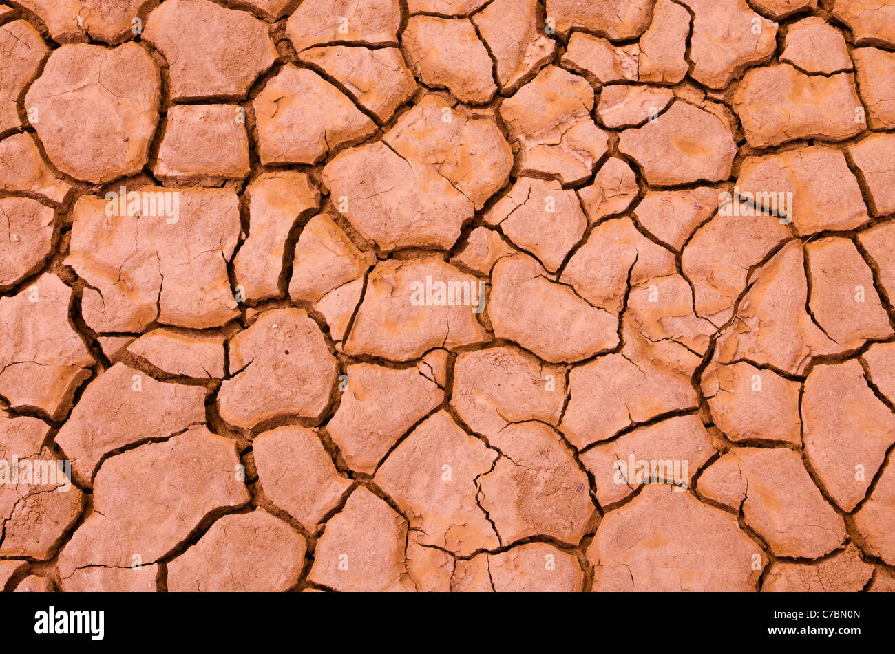 Cracked mud patterns on the playa, Clark Dry Lake, Anza-Borrego Desert ...