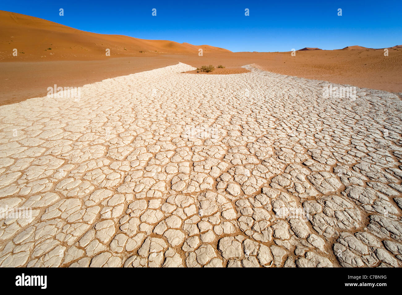 Arid desert terrain hi-res stock photography and images - Alamy