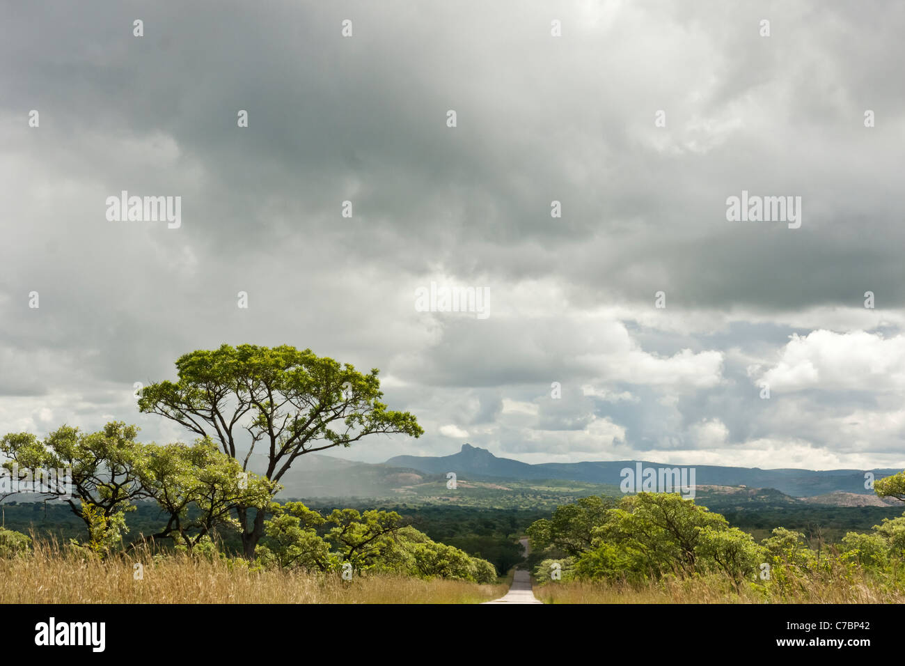Clouds roll in over Kruger National Park near Hazyview, South Africa ...
