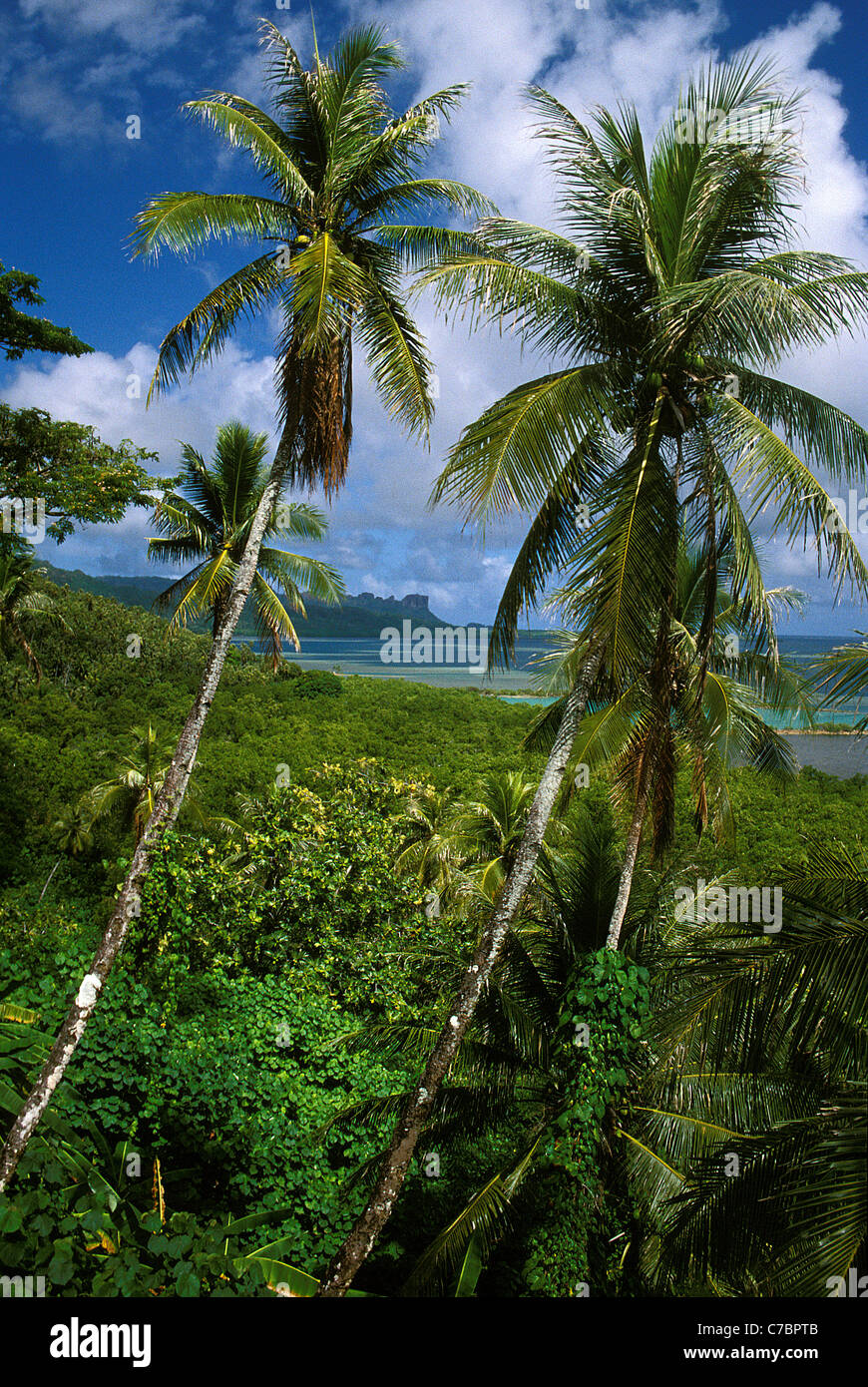 Village hotel pohnpei micronesia hi-res stock photography and images ...