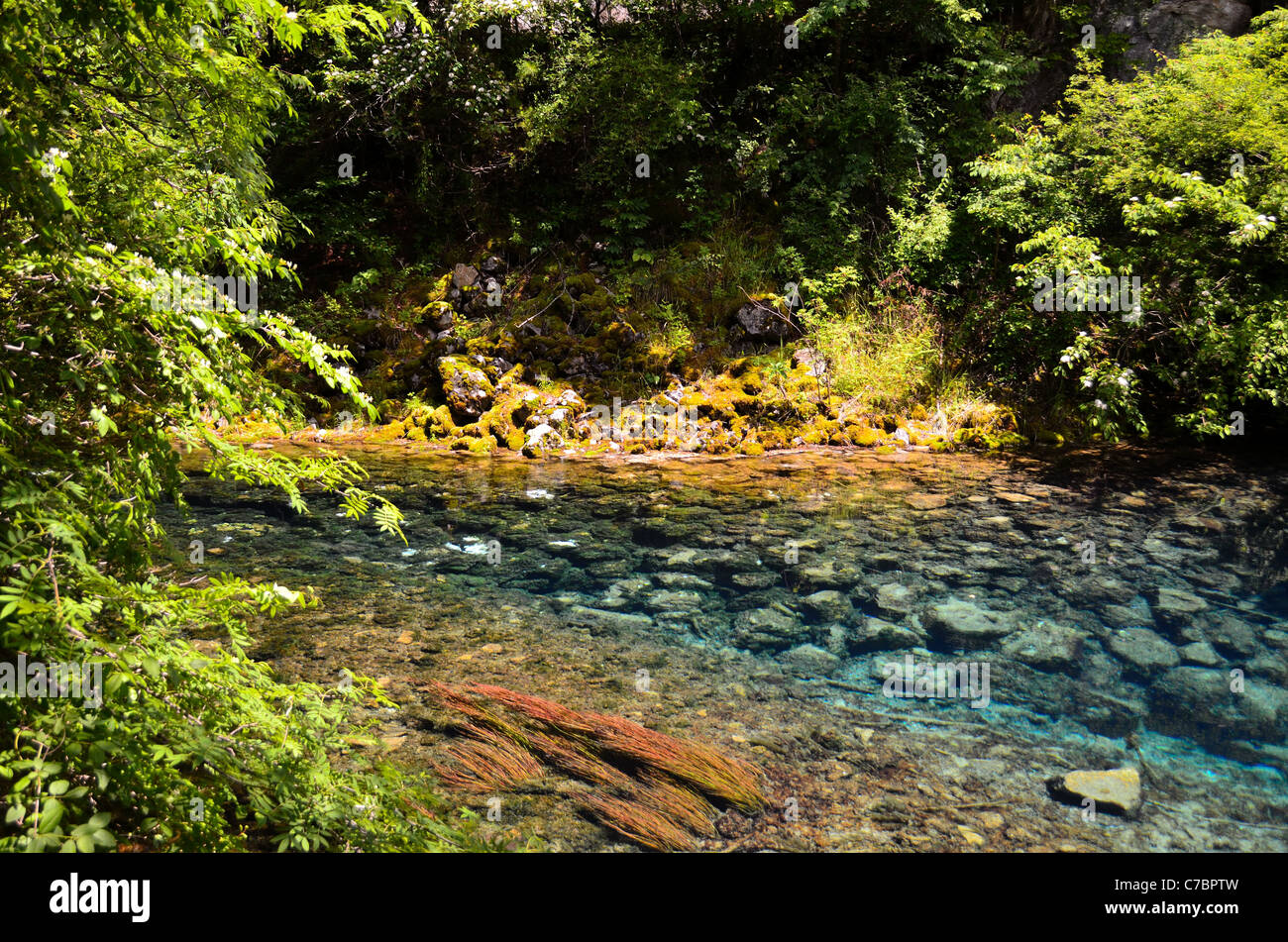 A small creek with clear running water Stock Photo - Alamy