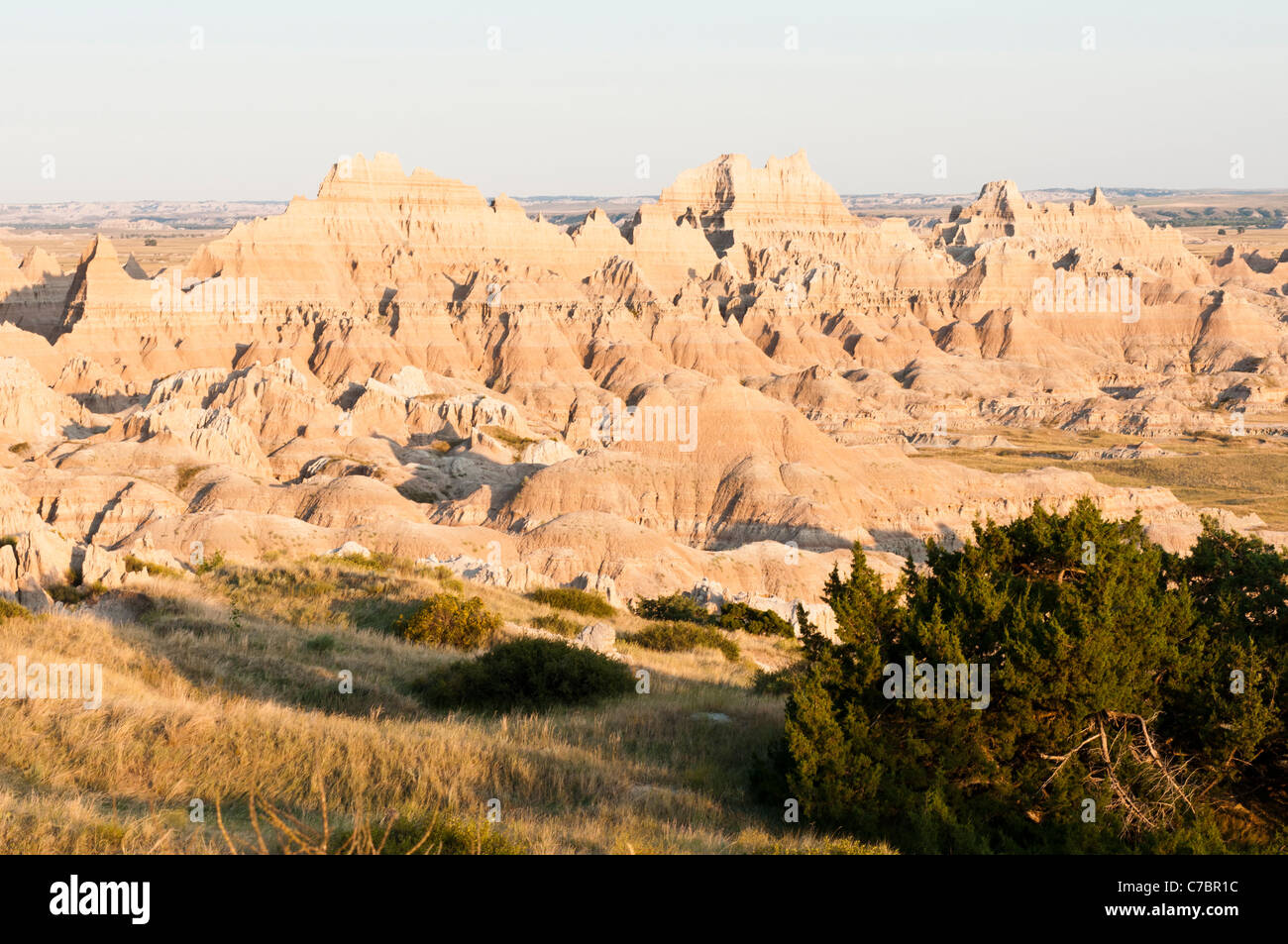 Sculpted spires rise above prairie grasslands in Badlands National Park ...