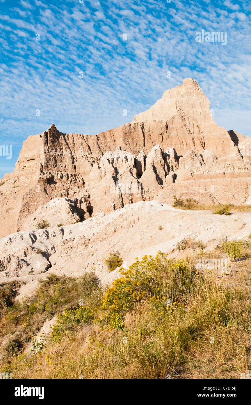 Wildflowers are shown in the foreground as sculpted spires rise above ...